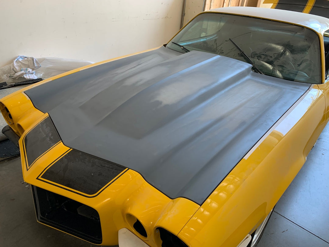 81 camaro hood store